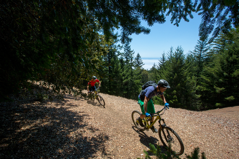 Featured Ride: Paradise Royale Loop - Dirtscrolls