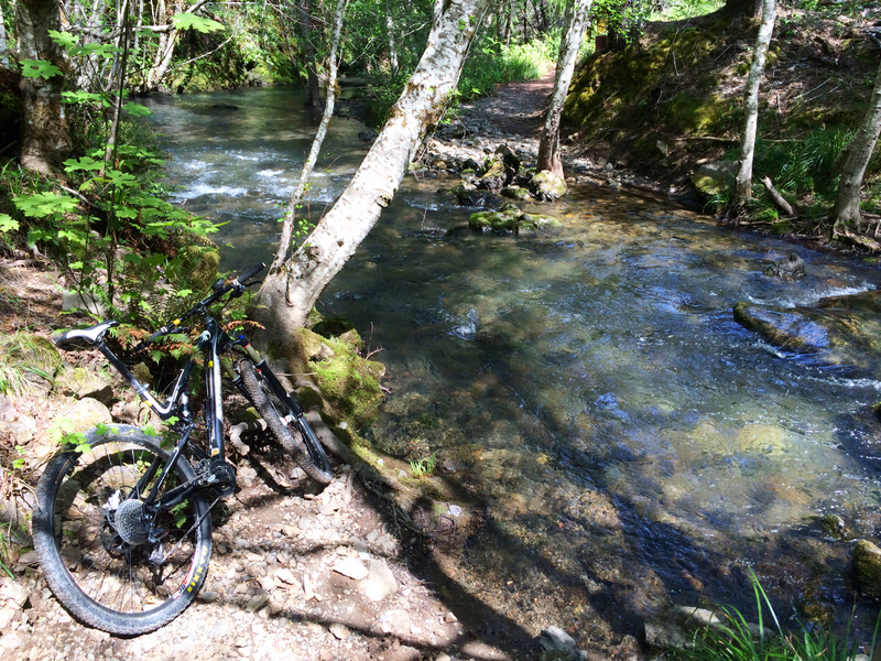 Featured Ride: Paradise Royale Loop - Dirtscrolls