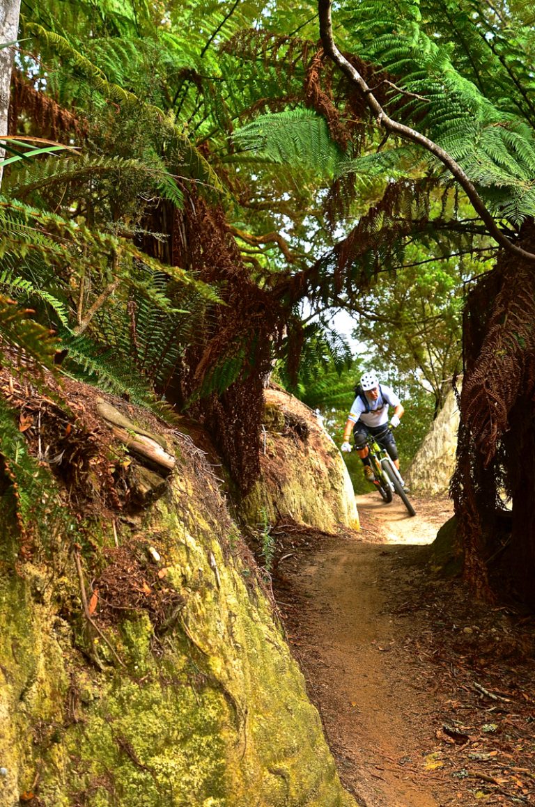 The Tale of Blue Derby: Singletrack in Tasmania - Dirtscrolls