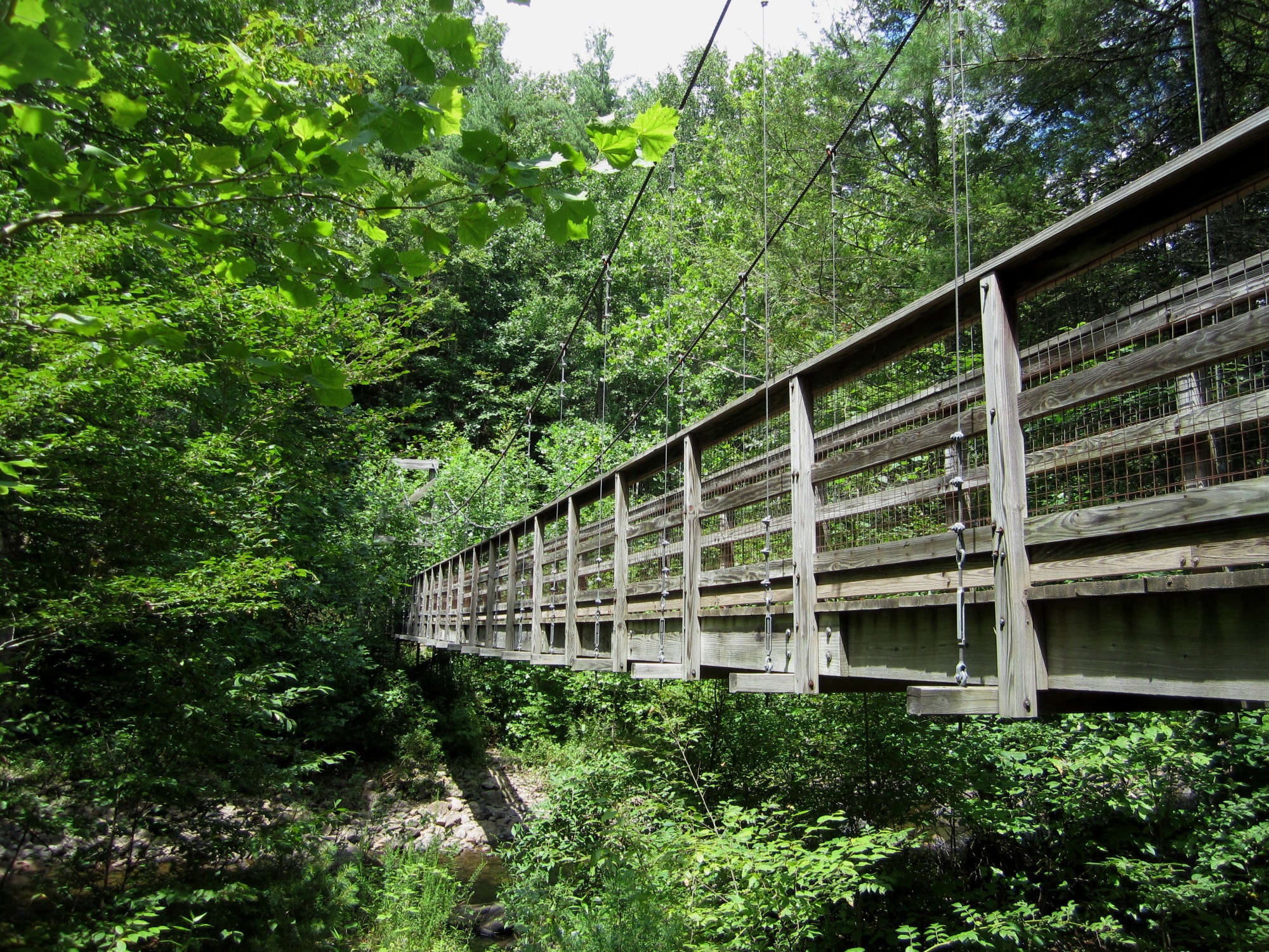 Featured Ride: Lookout Mountain Loop, Virginia - Dirtscrolls