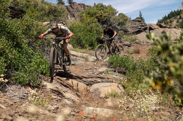 Fast and Loose: Cameron Falconer of Falconer Cycles - Dirtscrolls